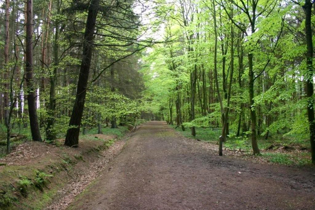 Estate – Kinneil