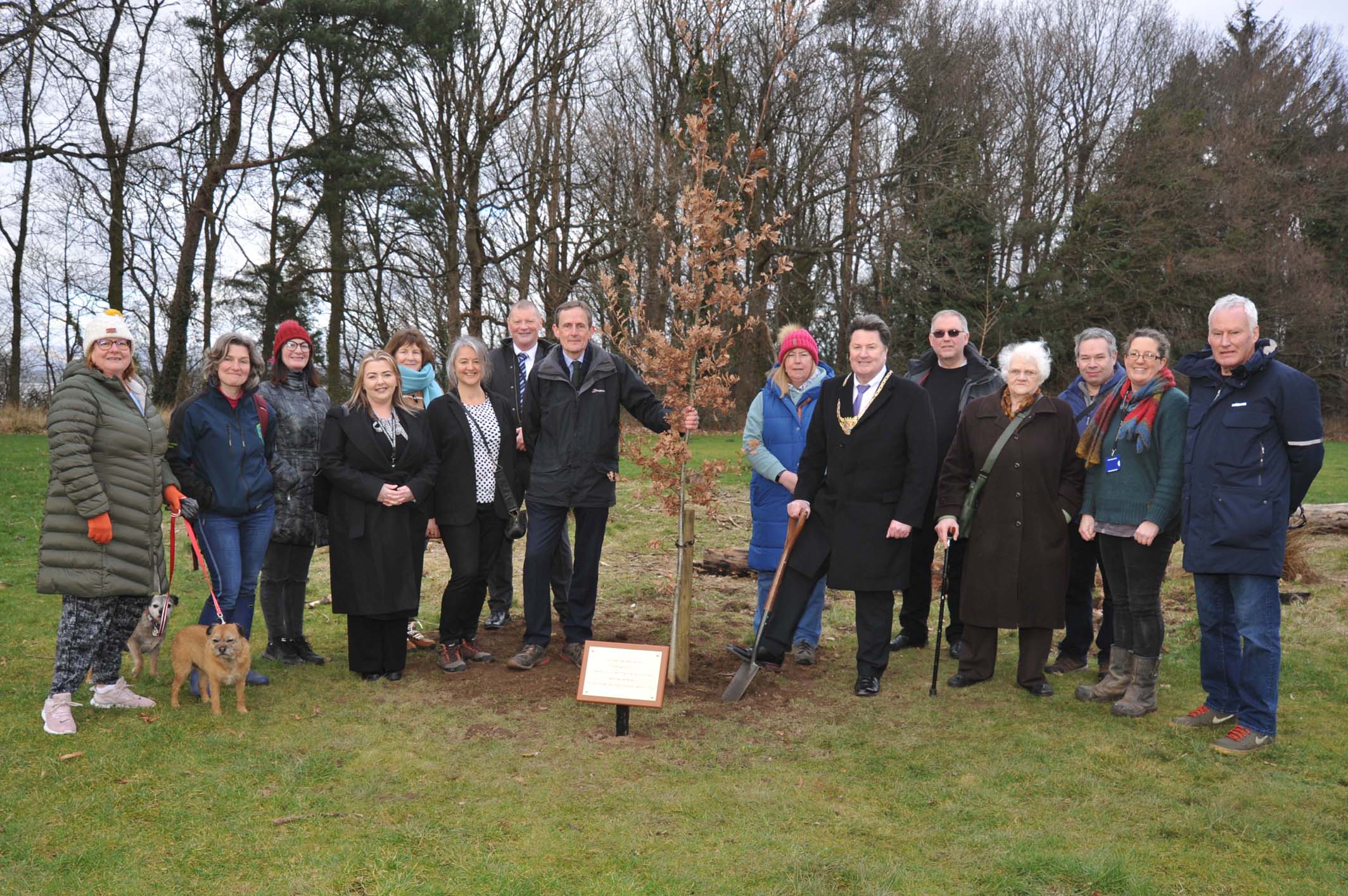 Tree planting marking 100 years as a public park: Centenary of public ...